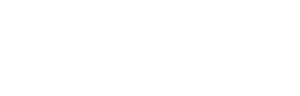 FIDGET Branding